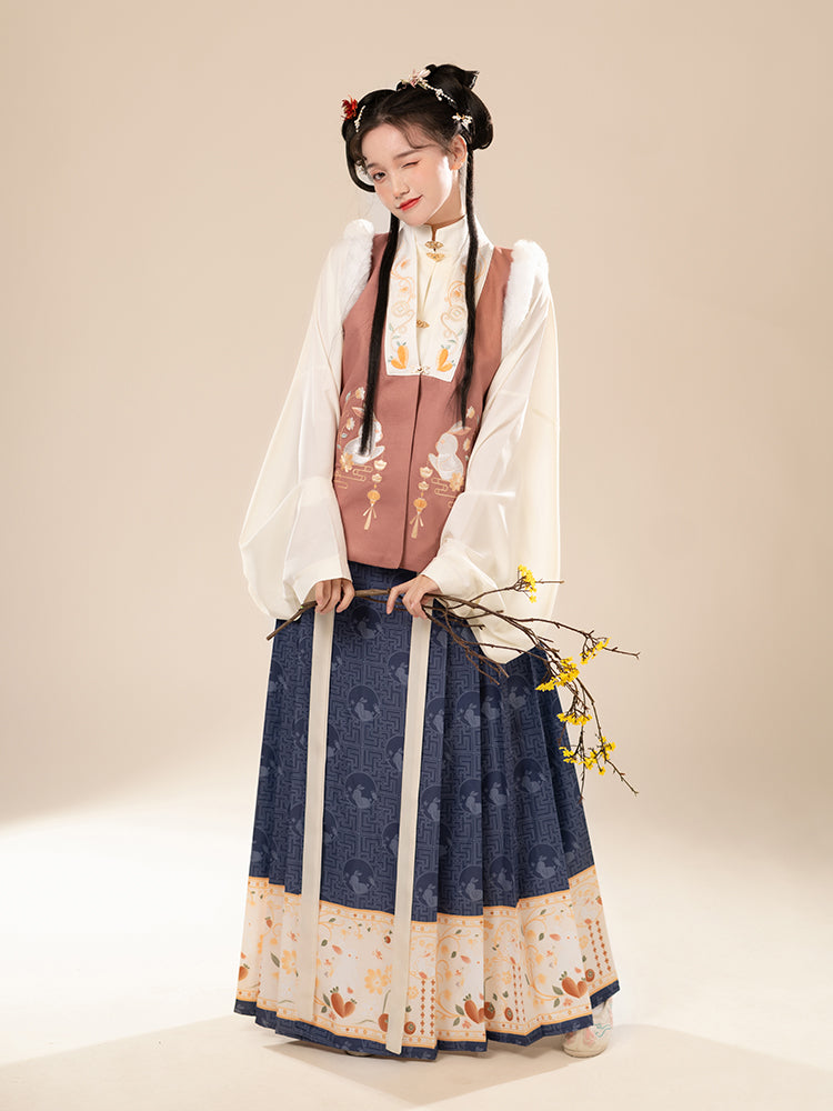 Ruyi - Bijia & Mamianqun Ming Dynasty Hanfu Set – Hanfu Story