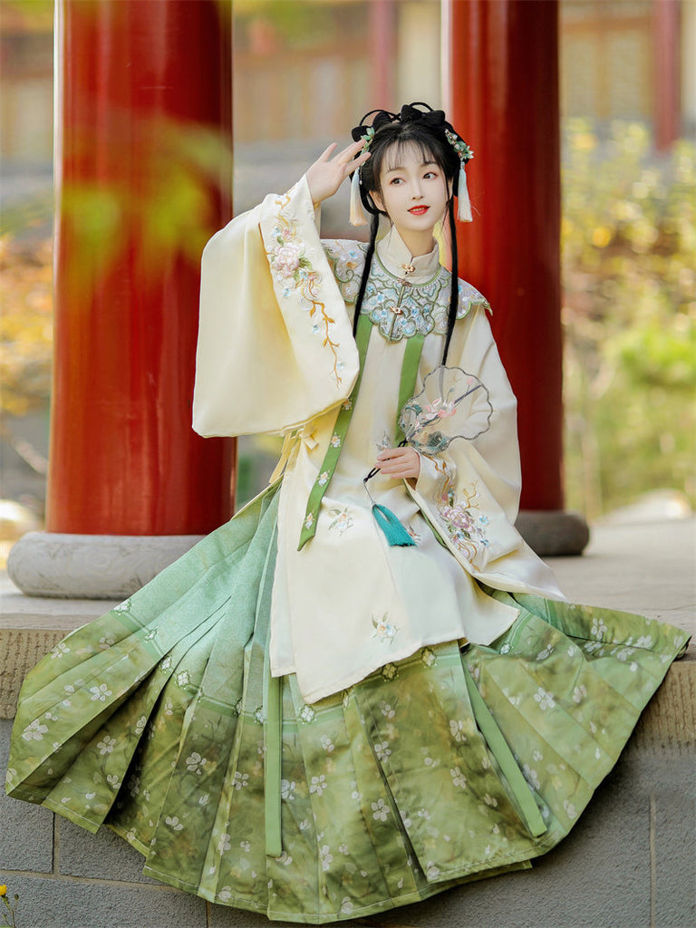 Ming Dynasty Embroidered Long Robe and Printed Horse Face Skirt - Lixi ...