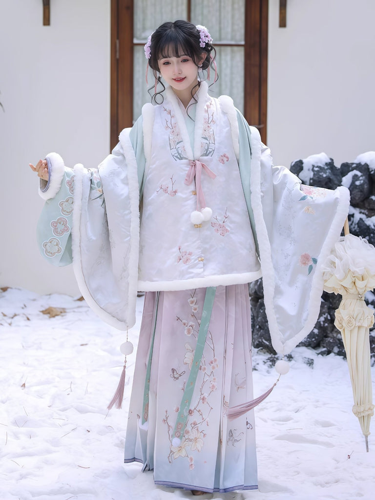 Ming Dynasty Bijia Pipa Sleeve Top & Mamian Skirt for Winter | Plum Bl ...