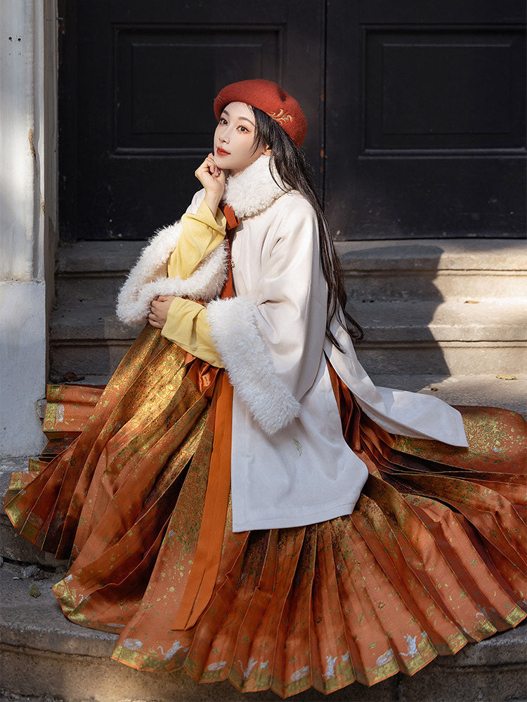 Ming Dynasty Modern Hanfu Coat and Mamianqun for Autumn and Winter - P ...
